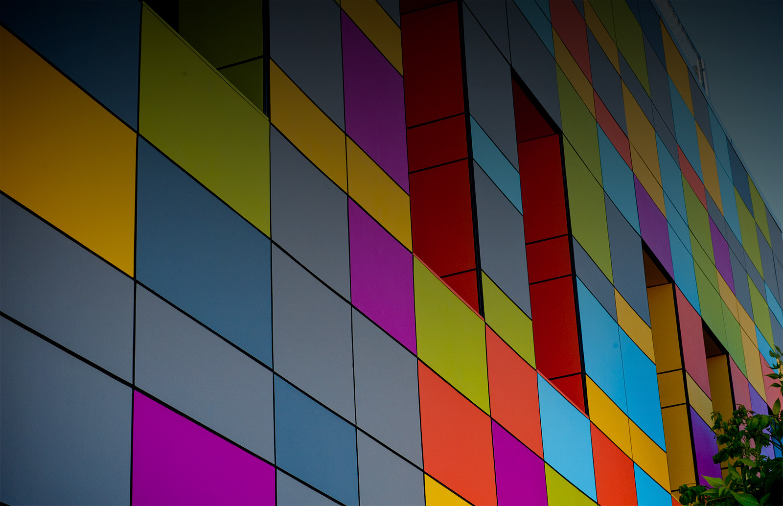 About us - Visual Asylum